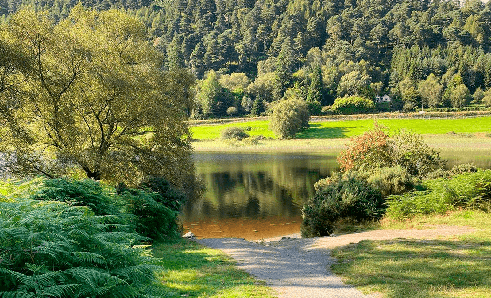 GLENDALOUGH | PARQUE NACIONAL DAS MONTANHAS WICKLOW - Raprosando